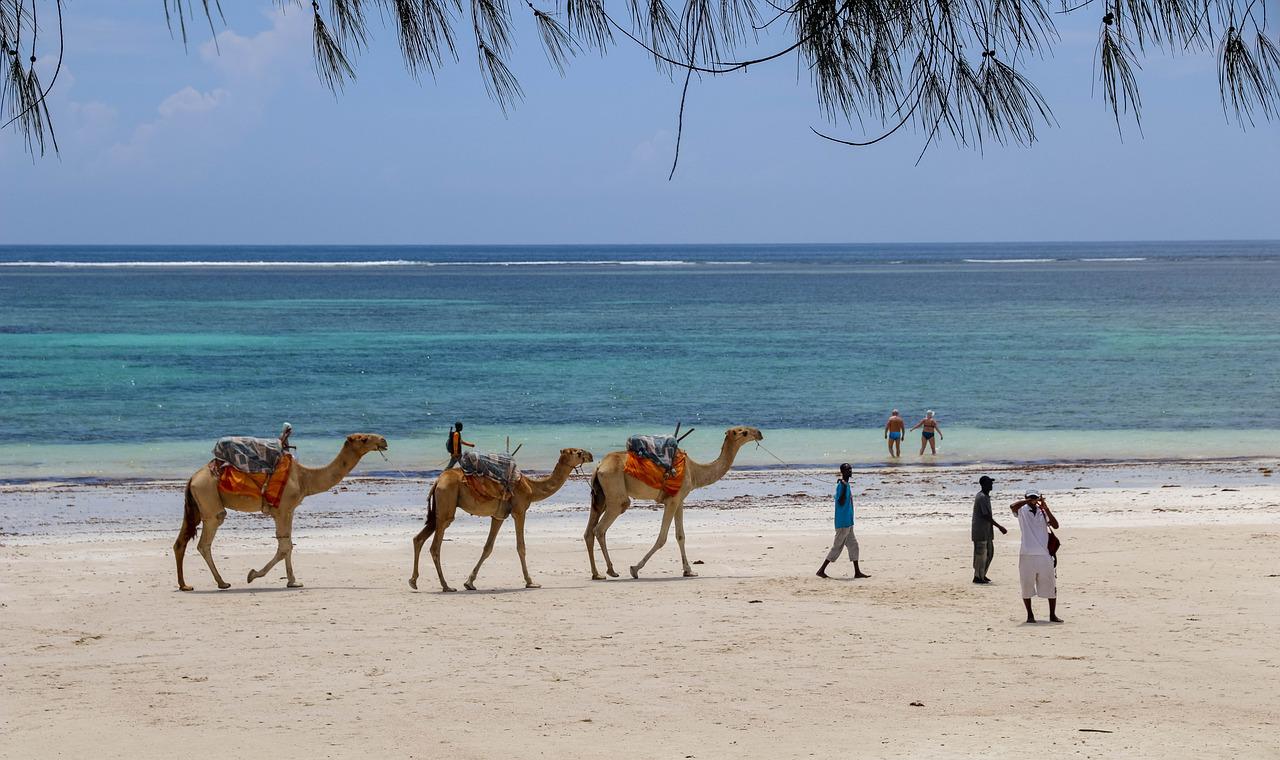 6 Best Beaches in Kenya (Sandy and Free) - Smart Nomad Kenya