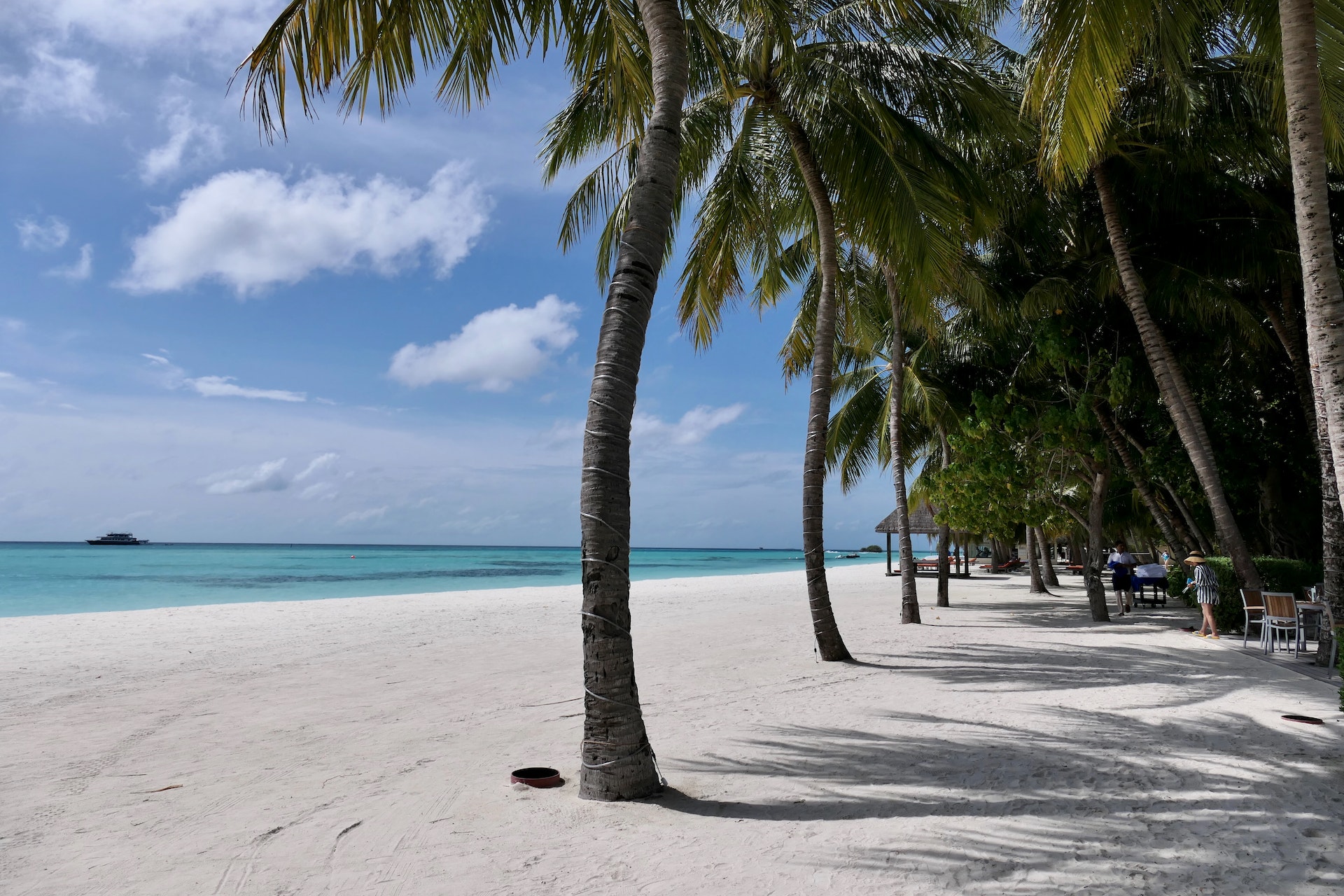 Top 10 Things To Do In Watamu, Kenya - Smart Nomad Kenya