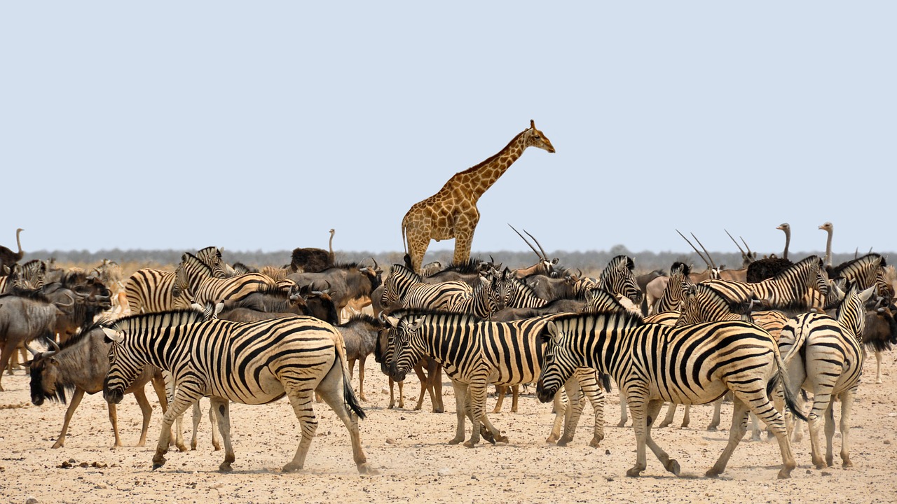 The Big Five & Beyond: 15 Famous Animals in Kenya - Smart Nomad Kenya