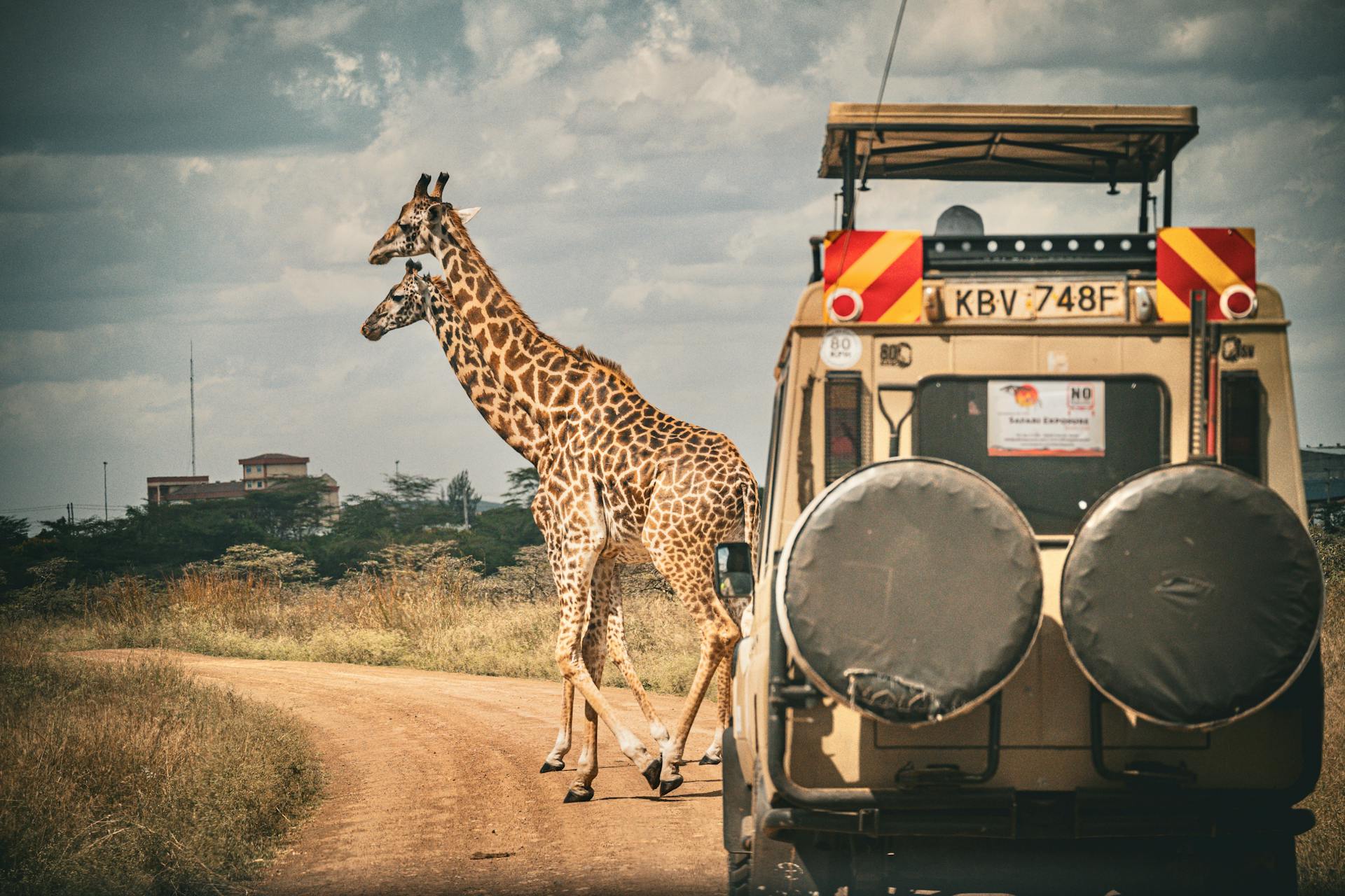 10 Best Safari and Tour Companies in Kenya - Smart Nomad Kenya